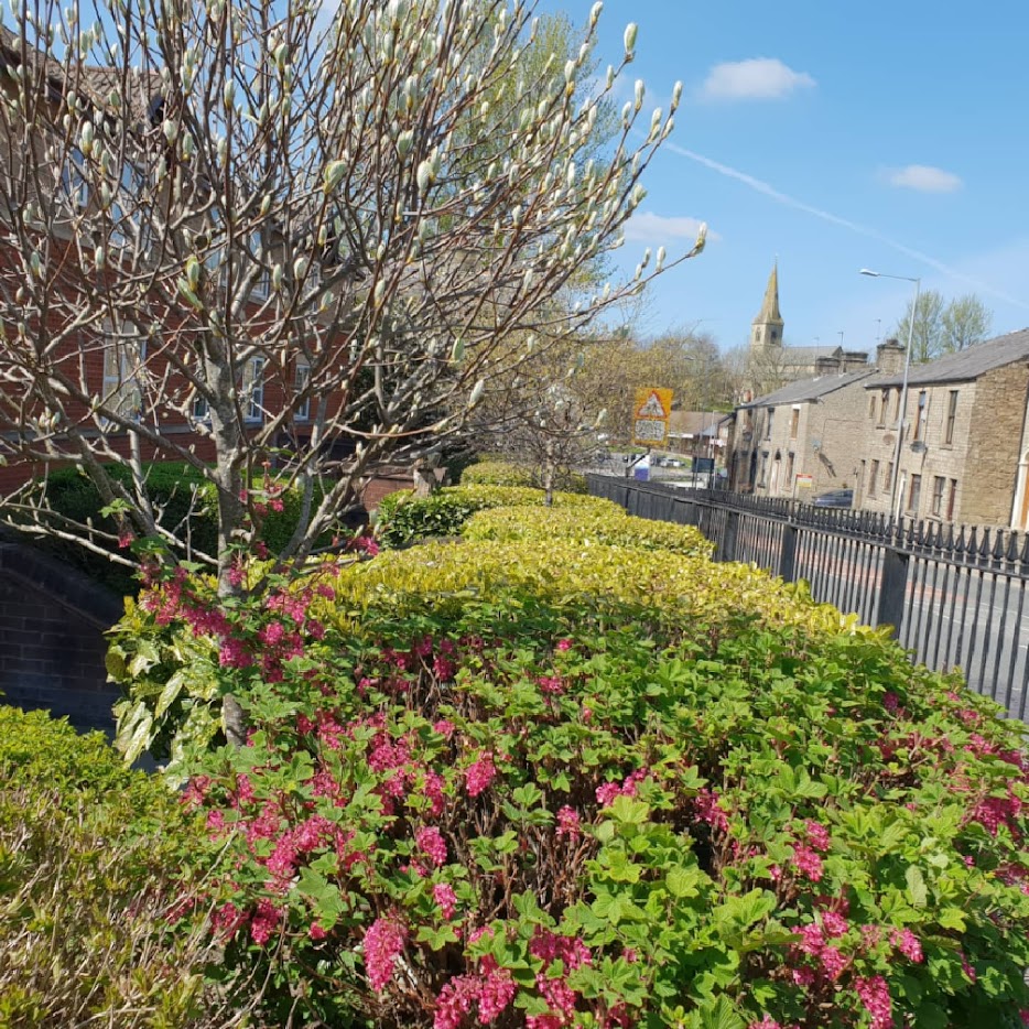 Hedge Trimming - Blake Grounds Services & Maintenance